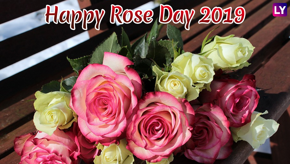 Happy Rose Day 2019: रोज डे पर इस रंग का गुलाब देकर पार्टनर से कहें ...
