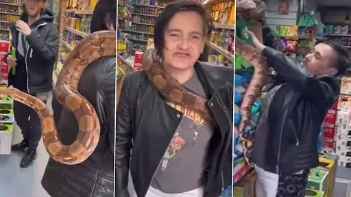Snake in Shop: अपने पालतू सांप को दुकान में लेकर पहुंची महिला, उसके बाद ...