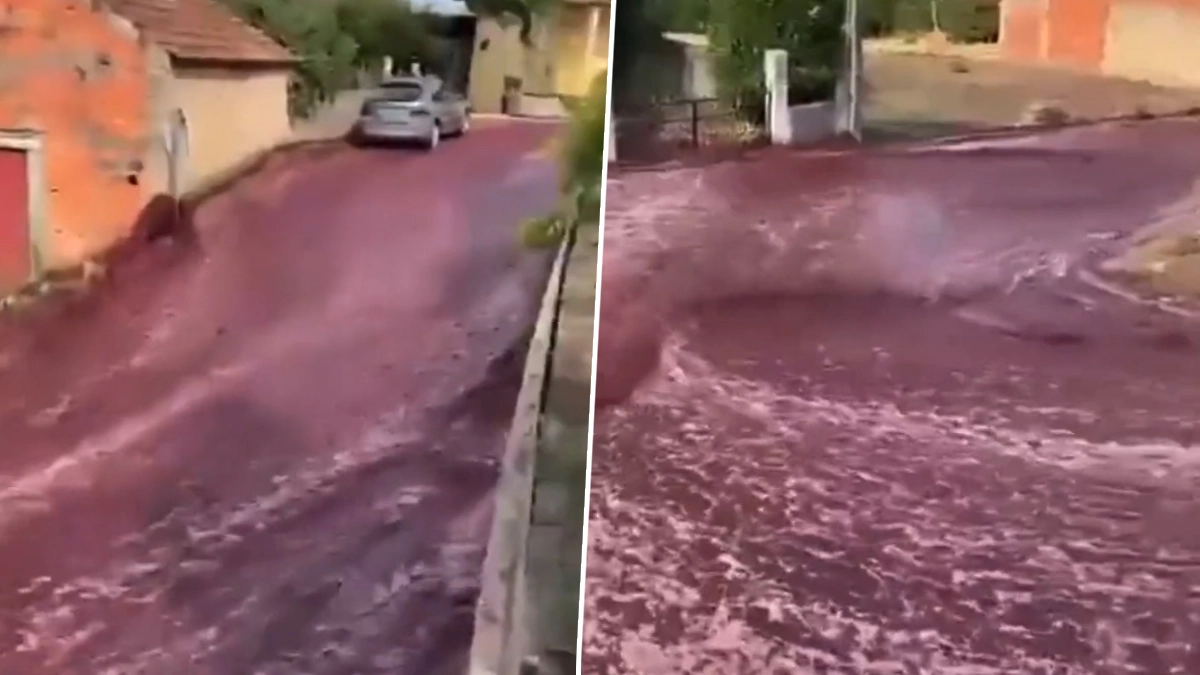 Red Wine Flood Video: इस शहर में आई रेड वाइन की बाढ़, वीडियो देखकर आप ...
