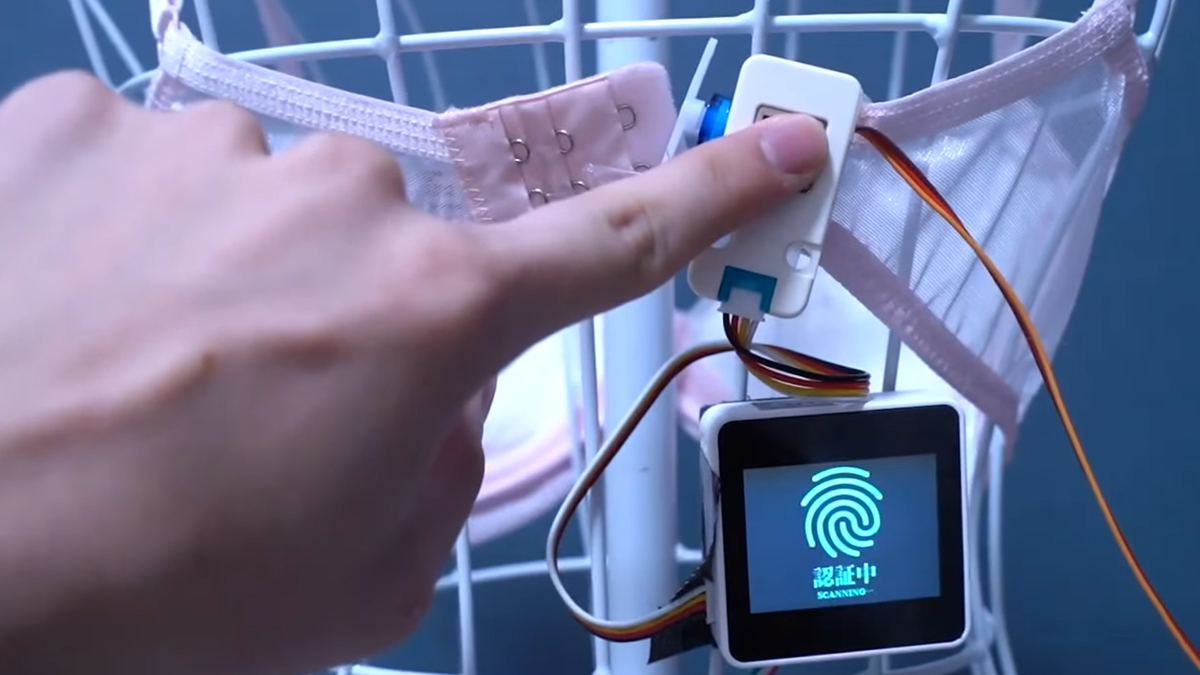 Finger Print Bra: चीन का नया आविष्कार, अब फिंगर प्रिंट से खुलेगी ब्रा ...