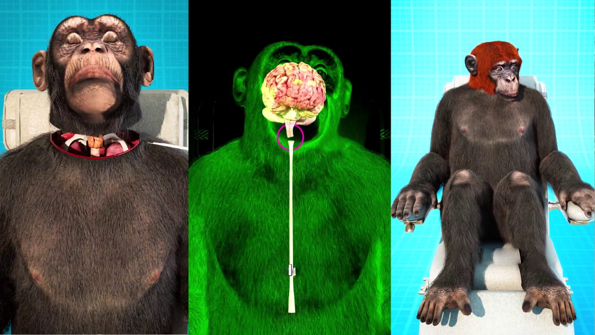 Monkey Head Transplant 1970: जब एक बंदर का सिर काटकर दूसरे बंदर के शरीर ...